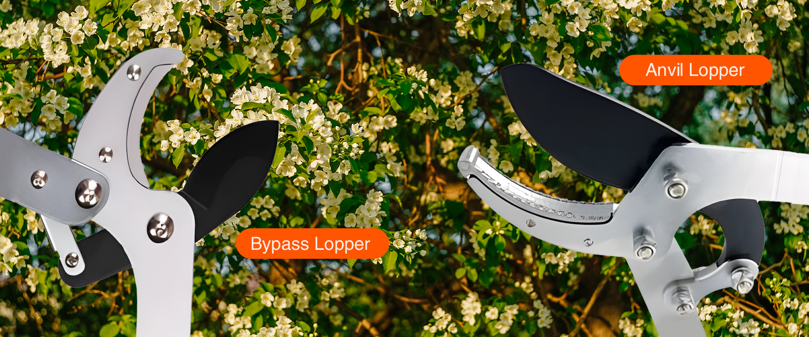 Plant loppers store