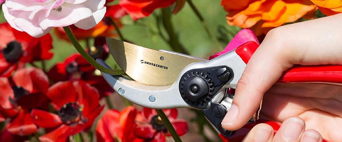 Factors to Consider When Choosing the Best Pruning Shears - Haus & Garten®