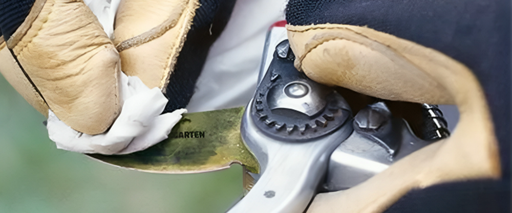 How To Care For Your Pruning Shears for Perfect Cuts Every Time - Haus ...